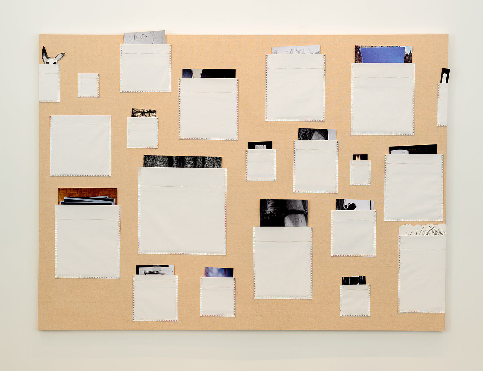 Pockets Rex – Sheet Cake Gallery